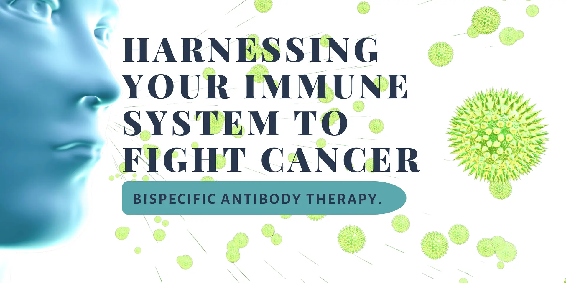 Treating Cancer with Bispecific Antibody Therapy - Missouri Cancer ...